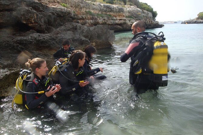 Small Group Diving Adventure in Menorca - The Experiences Highlights and Drawbacks