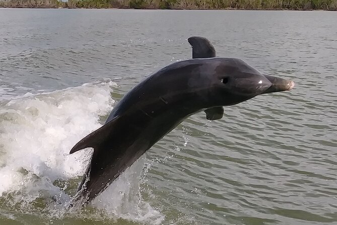 Small-Group Everglades Boating Kayaking and Walking Eco Tour - Meeting Point and Accessibility