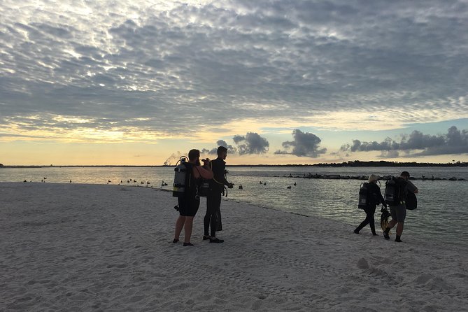 Small Group Guided Shore Dives in St. Andrews State Park, Florida - Practical Details That Matter