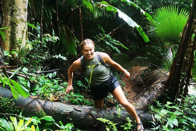 Small-Group Jungle Hiking Excursion in Khao Phra Teaw Park - What Past Travelers Say