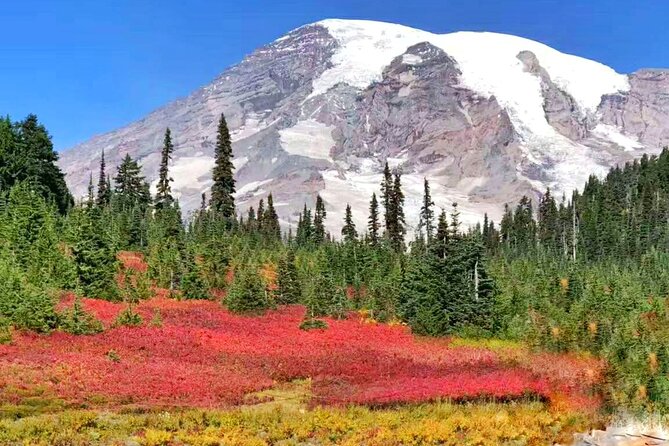 Small Group Mt Rainier National Park Day Tour from Seattle 2CanGo - Final Thoughts: Who Is This Tour Best For?