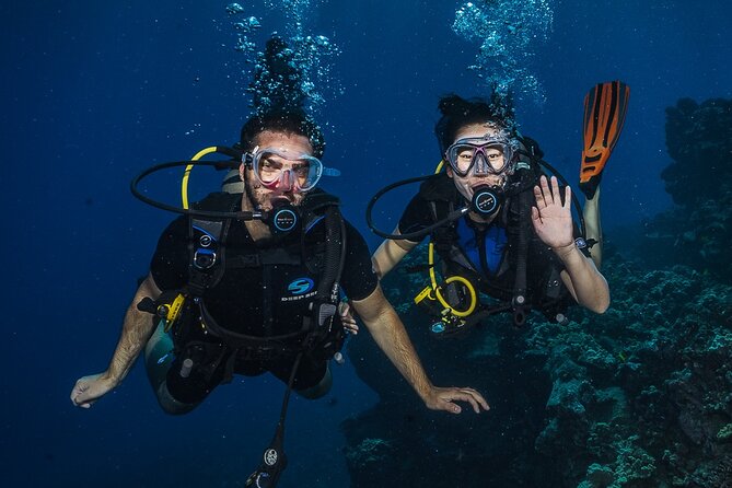 Small-Group Shark and Turtle Dive for Certified Divers - Health and Safety Requirements
