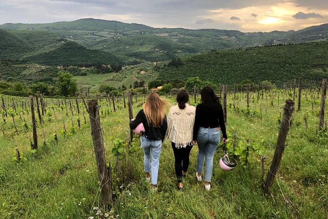 Small Group Wine Tasting in Tuscany With Vineyard Visit - Generous Wine Tastings
