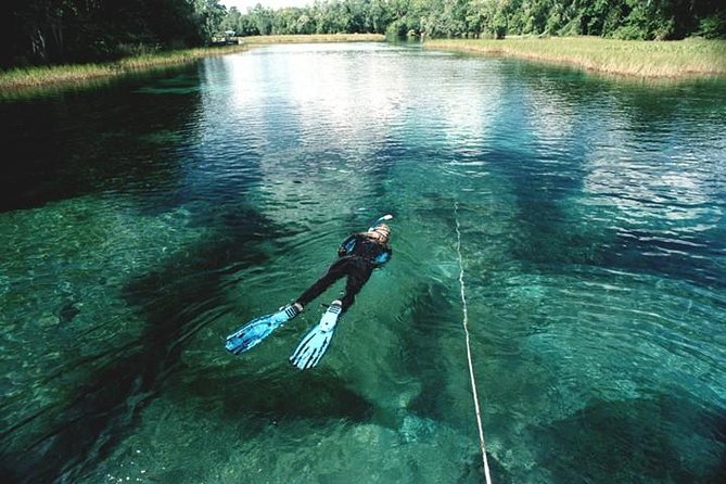 Snorkel Or Dive The Amazing Rainbow River Florida - Tour Details and Itinerary