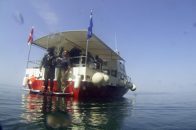 Snorkeling Tour Makarska Riviera, Islands of Hvar or Brač - Meeting Point and Logistics