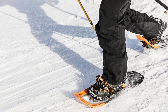 Snowshoe Tour in Winter Wonderland - Oslo - What to Expect