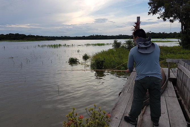 Solimoes River Piranha Fishing and Alligator Watching Tour - Alligator Watching