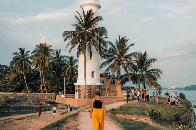 Southern Sri Lanka Sightseeing Day Trip From Colombo & Negombo - Customer Experiences and Feedback