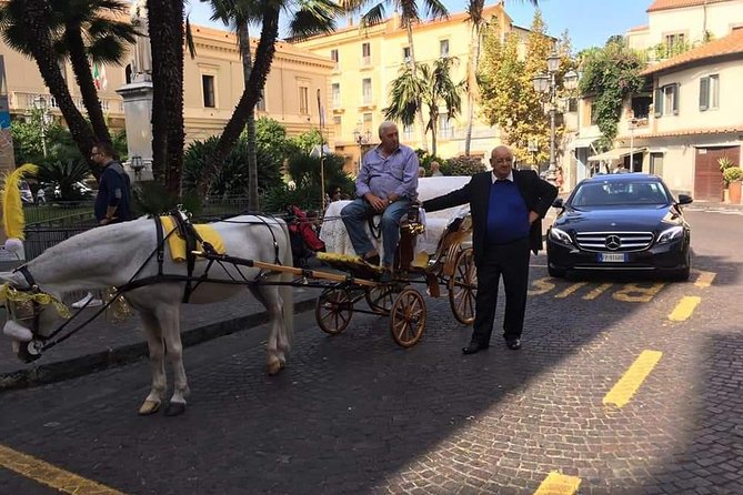 Splendida giornata con noi in costiera Amalfitana e dintorni - FAQ