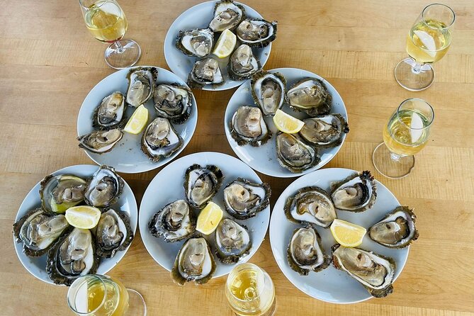 Ston Seafood & PelješA Wine Boat Tour With Oysters and Mussels - Wine Tasting at Škurla Family Winery