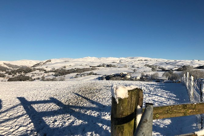 Stunning Lake District 4 Hour Tours! - Meet Your Personal Guide