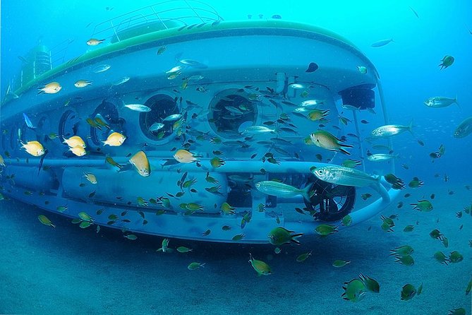 Submarine Safaris Lanzarote - FAQ: Your Questions Answered