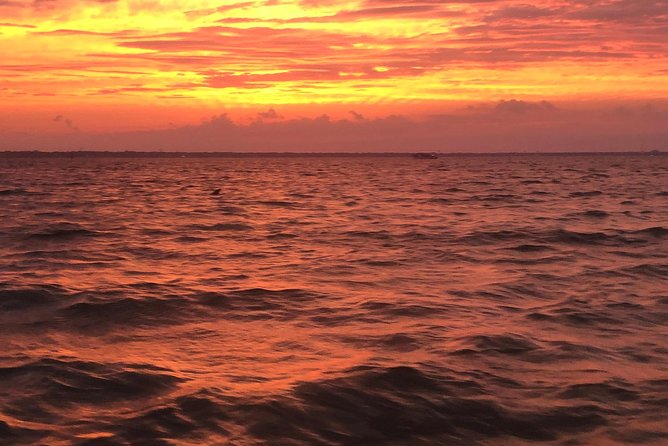 Sunset Dolphin Watching Cruise in Destin Harbor - Frequently Asked Questions