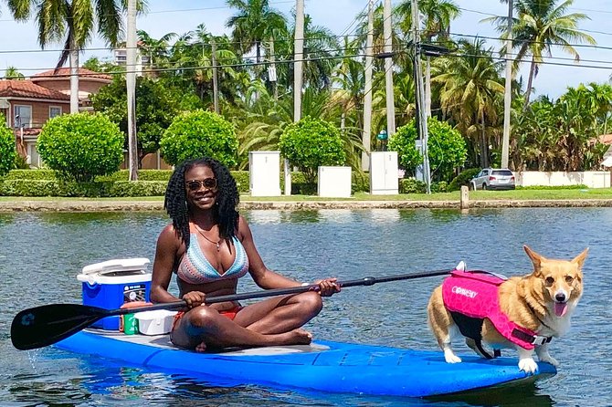 SUP PUP Paddleboard Tour - Safety and Guidance During the Tour