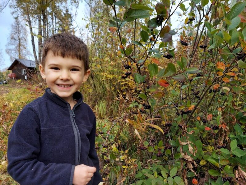 Talkeetna: The Reindeer Grove Homestead Tour and Forage - Is It Worth the Price?