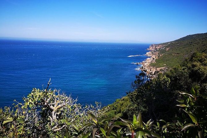 Tangier Guided Tour From Tarifa - Traveler Requirements and Accessibility