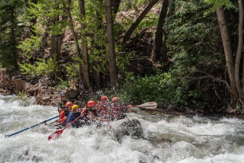 Telluride Morning Half Day Rafting Trip - San Miguel River - What’s Included and What’s Not