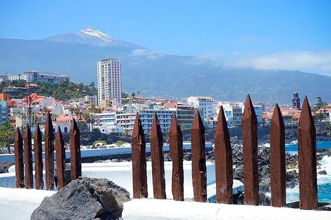 Tenerife Full Island Tour - Group Size and Itinerary
