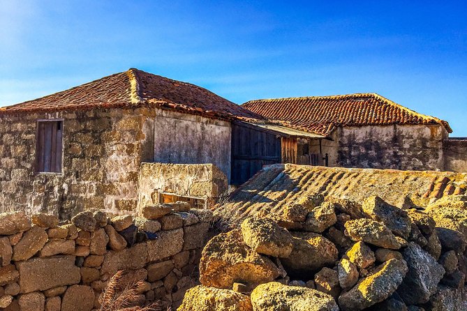 Tenerife South Private Tour: Secrets of the Volcanoes - Volcanic Viewpoints and Formations