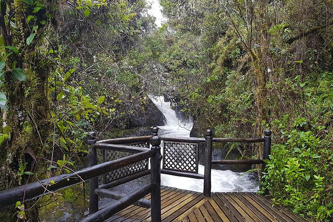 Termas De Papallacta Hot Springs Full Day Tour From Quito - Experience and Activities