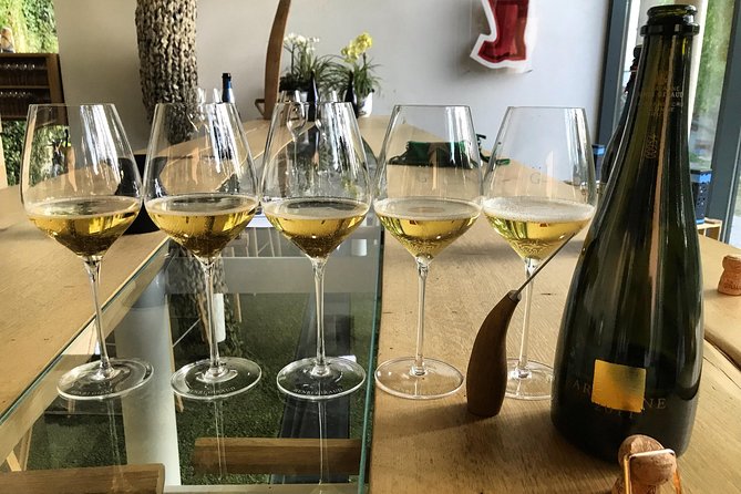 The Connoisseurs From Epernay (Private Half Day Champagne Tour) - Guest Reviews and Feedback