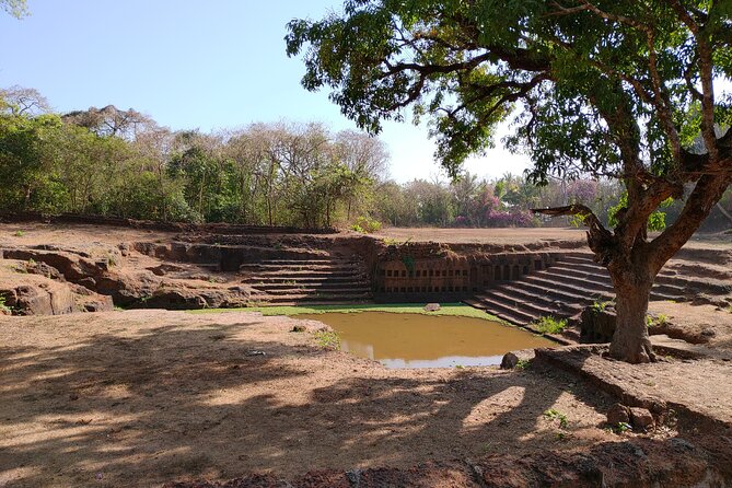 The Divar Island Exploration - FAQs