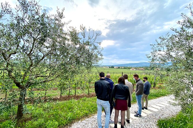 The Grand Tour of Valpolicella: 2 Wineries, Lunch & Amarone Focus - Intimate Encounters With Winemakers