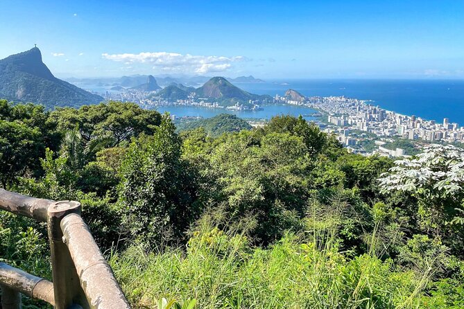 Tijuca Forest: Tour With Waterfalls and Caves - Feedback From Satisfied Customers
