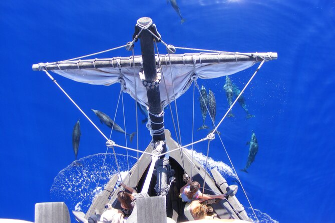 Time Travel on Columbus Replica Flag Ship in Madeira - Booking and Cancellation Policy