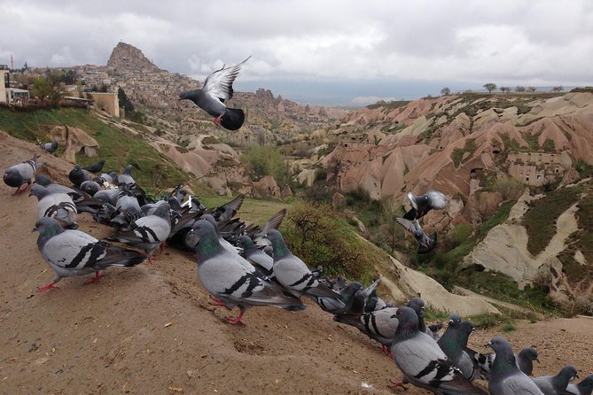 Tour of Highlights of Cappadocia With Lunch - Marveling at the Fairy Chimneys in Pasabag
