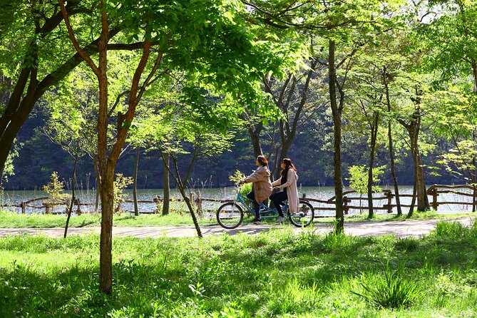 Trip to Nami Island with Petite France & Italian Village, Garden of Morning Calm - Final Thoughts
