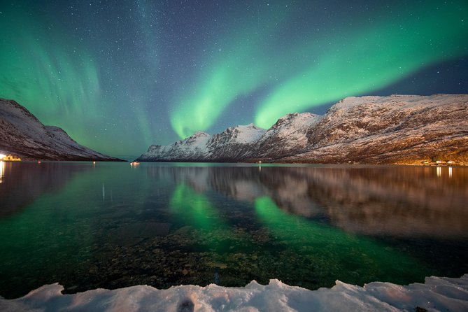 Tromso Northern Light Chase in Minibus Tour With Campfire - Knowledgeable Guides and Local Expertise