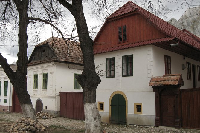 Turda Salt Mine, Rimetea Village & Alba Iulia (1 Day, From Cluj) - Tour Details and Requirements