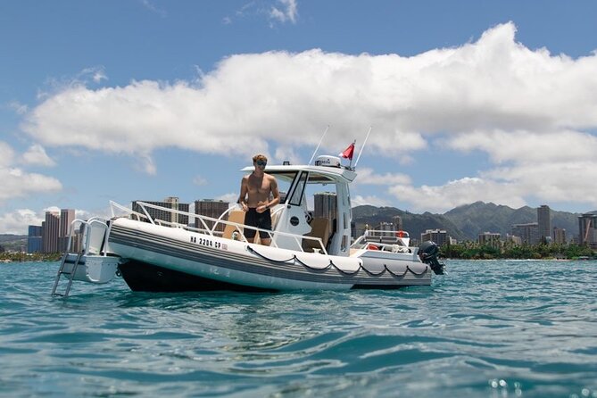 Turtle Canyon Snorkel from Waikiki: Turtles Guaranteed - Final Thoughts