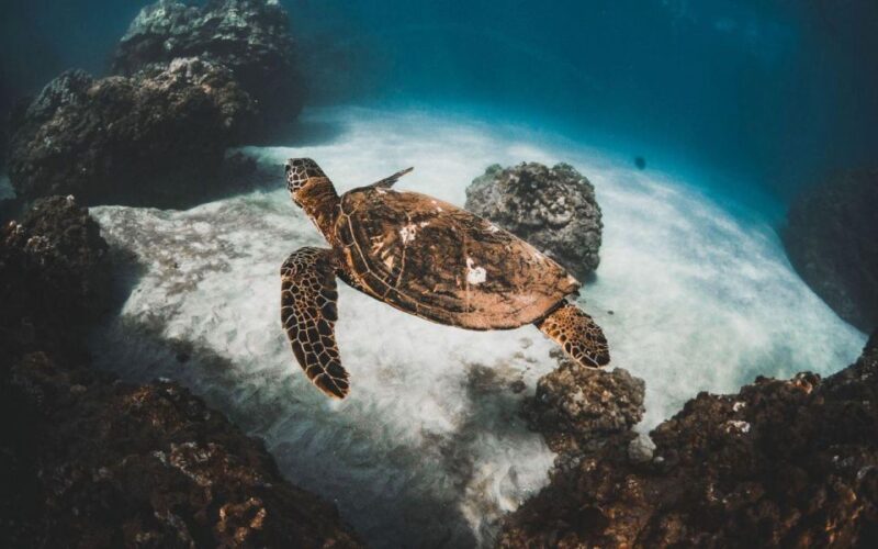 Two Stop Deluxe Molokini Snorkel - Breakdown of the Itinerary
