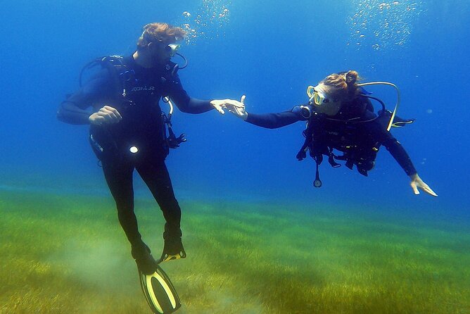 Underwater Tenerife – 1-on-1 Personalized Scuba Diving Adventure - Convenient Meeting and Dive Locations