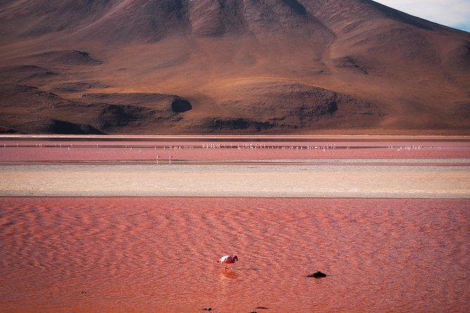 Uyuni Salt Flats Private 3 Day Tour (Palacio Sal 5* & Tayka 3* Hotels) - Health and Accessibility