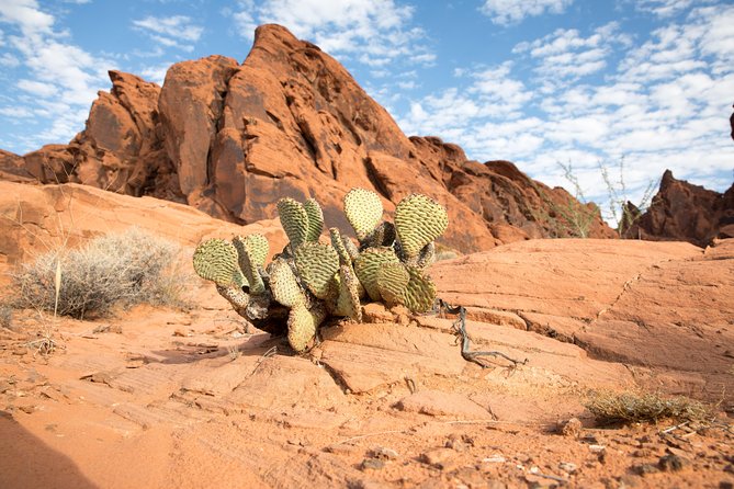 Valley of Fire and Lost City Museum Tour From Las Vegas - Exploring the Lost City Museum