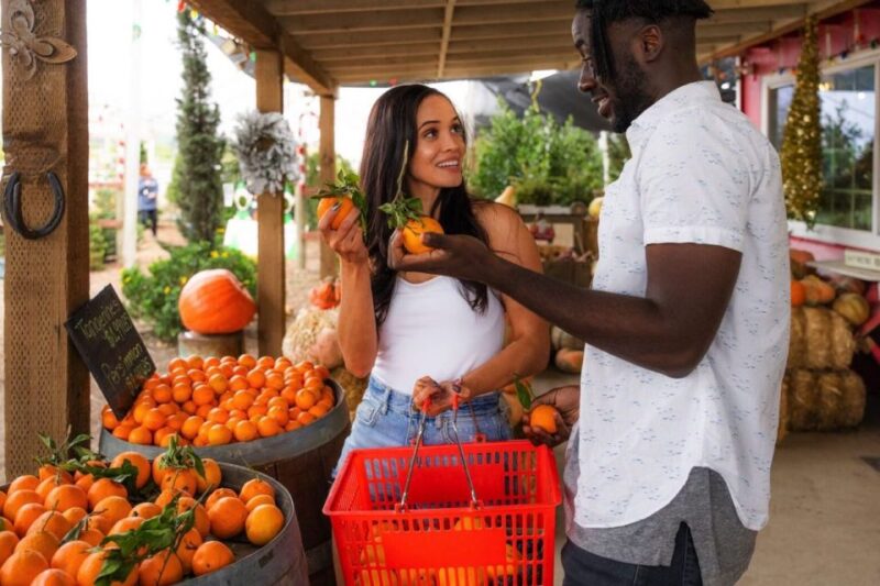 Ventura: Rail Bike Guided Tour with Farm Stand Stop - Practical Details for Your Trip