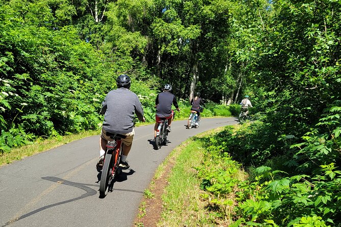 Viator Exclusive: Go Ebike Alaska on Tony Knowles Trail - Physical Requirements and Fitness Levels