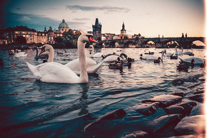 Vienna to Prague - Private Transfer With 2 Hours of Sightseeing - Highlights of the Journey