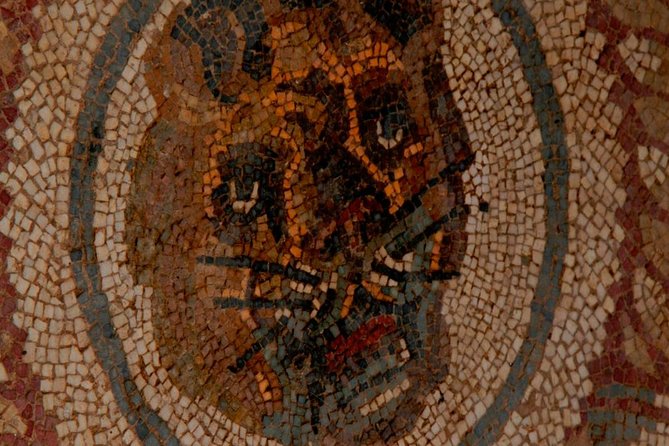 Villa Romana Del Casale Mosaics Unesco Private Tour - Immersive Guided Tour Experience