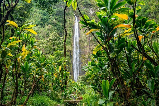 VIP Private Road to Hana Tour with Pick Up - Who Would Love This Experience?