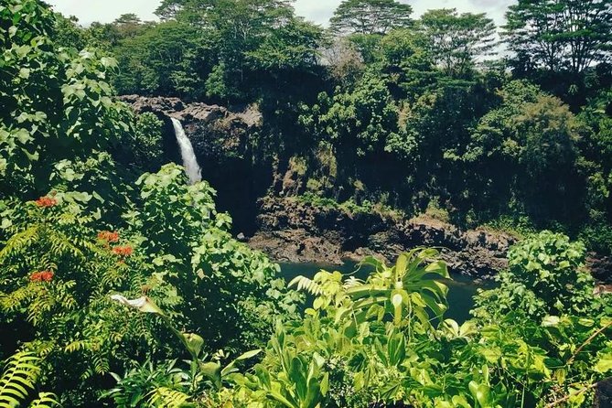 Volcanoes National Park Adventure Tour - Hilo Shore Excursion - Customer Feedback and Experiences