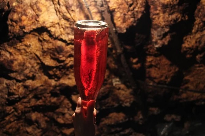 Vouvray Vineyard Tour Review: An Unforgettable Experience - Guest Experiences and Reviews