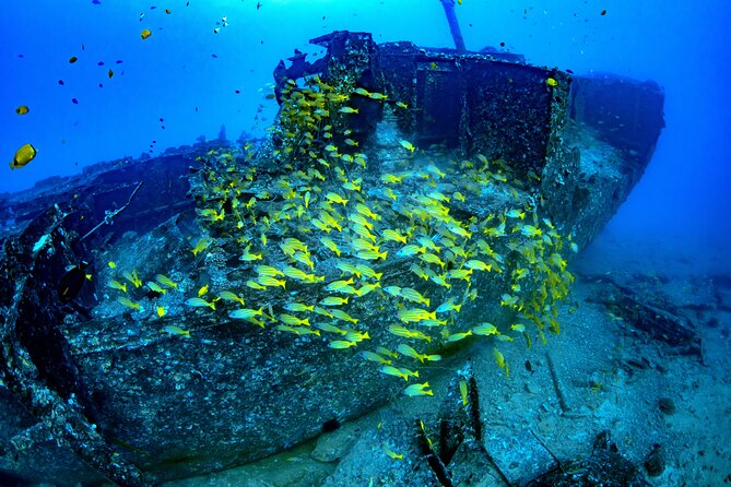 Waikiki Atlantis Submarine Adventure - Guest Experiences and Reviews