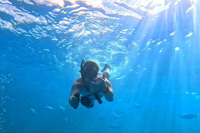 Waikiki Catamaran Escape: Snorkel With Turtles & Water Sports Fun - Snorkeling With Turtles