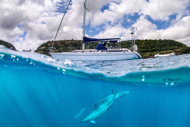 Waikiki small group turtle snorkeling & sailing - Practical Details: What’s Included and What’s Not