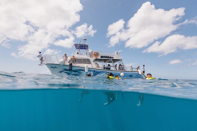 Waikiki Turtle Canyon Snorkeling With Lunch and Hula Show - Marine Life Encounters