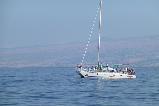 Wake up With the Whales Cruise From Anaehoomalu Bay - Meeting and Accessibility